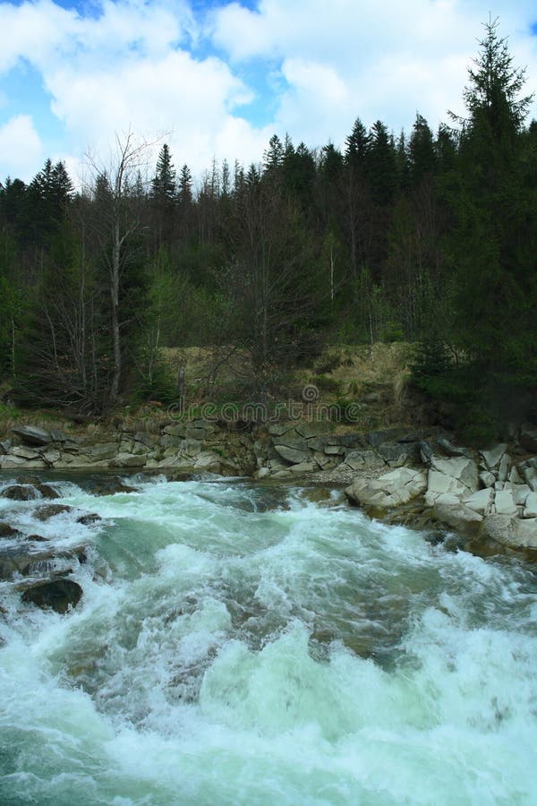 Mountain River and Forest in the Background, Summer Hiking Trails ...