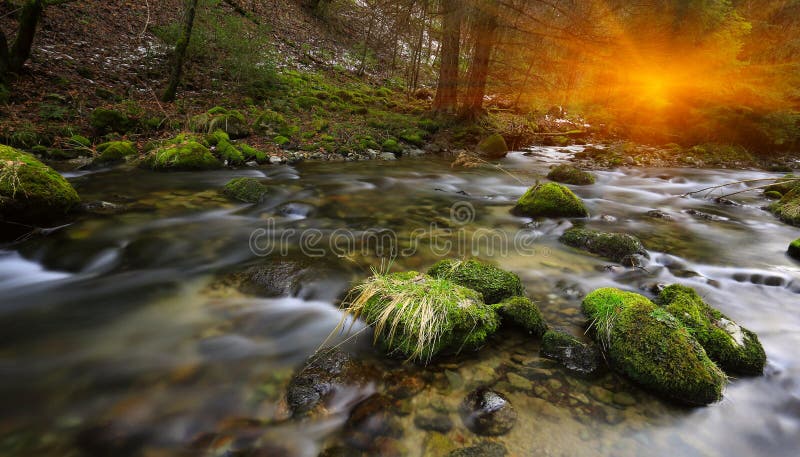 Mountain river in forest stock image. Image of motion - 270034983