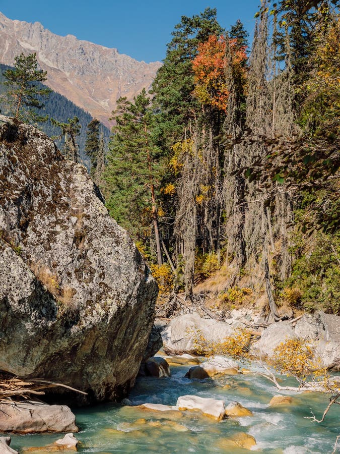 Mountain River in Forest. High Mountain Landscape with River Stock ...