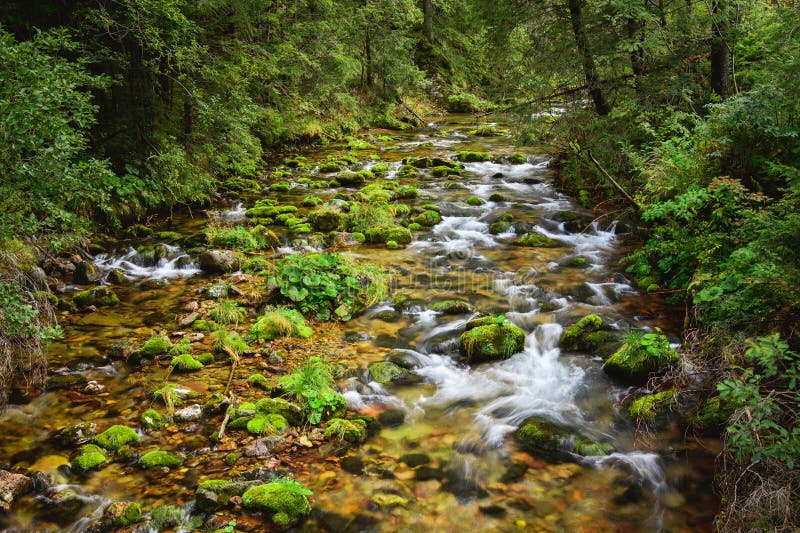 A Mountain River in the Forest, Low Water Level in the Riverbed, Water ...