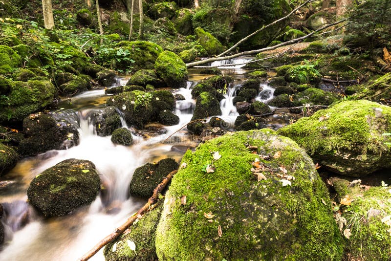 Mountain River through Forest Stock Image - Image of stream, stone ...