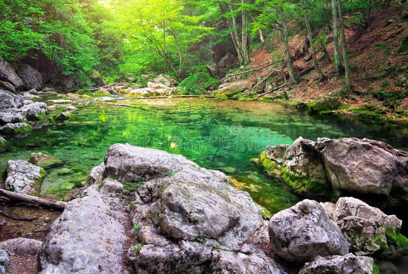 Mountain River in Forest and Mountain Terrain. Stock Photo - Image of ...