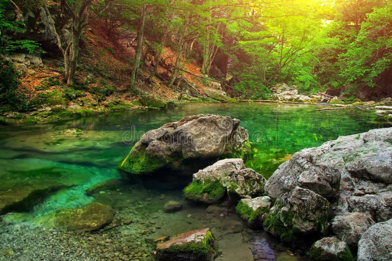 Mountain River in Forest and Mountain Terrain. Stock Image - Image of ...
