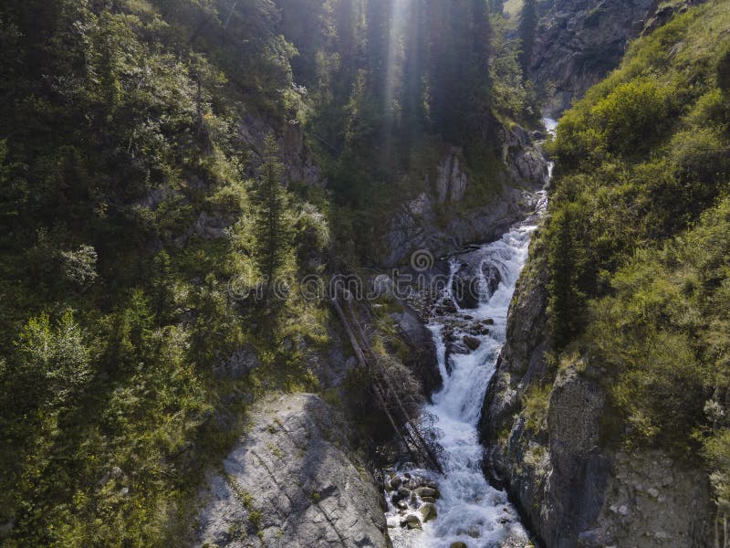 Mountain River and Forest in Summer Kyrgyzstan Stock Photo - Image of ...