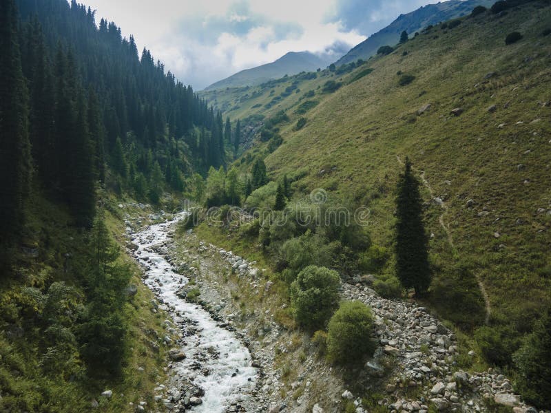 Mountain River and Forest in Summer Kyrgyzstan Stock Image - Image of ...