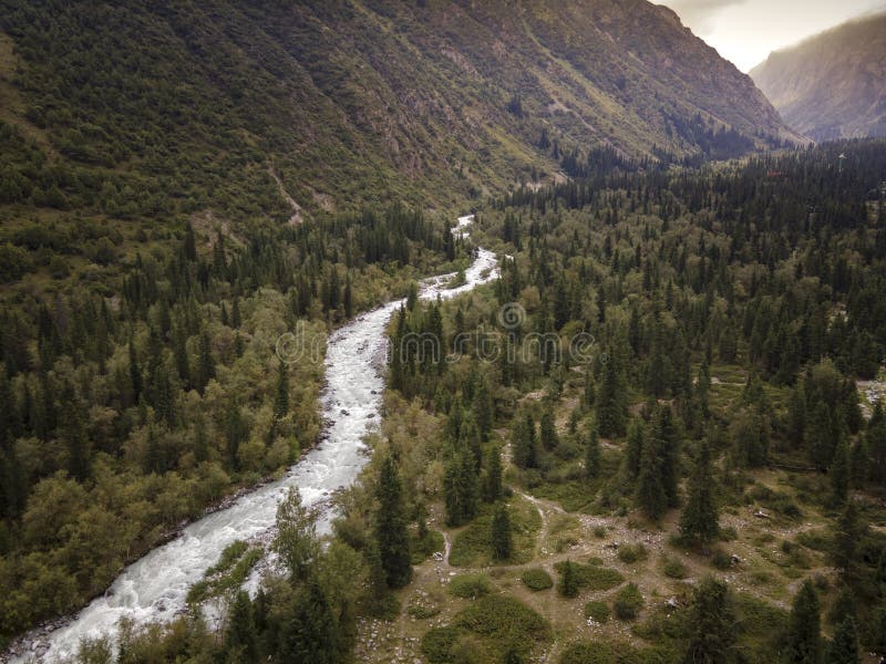 Mountain River and Forest in Summer Kyrgyzstan Stock Photo - Image of ...