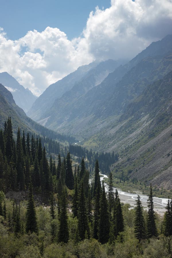 Mountain River and Forest in Summer Kyrgyzstan Stock Image - Image of ...