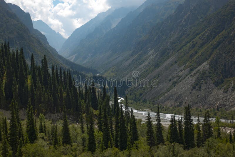 Mountain River and Forest in Summer Kyrgyzstan Stock Image - Image of ...
