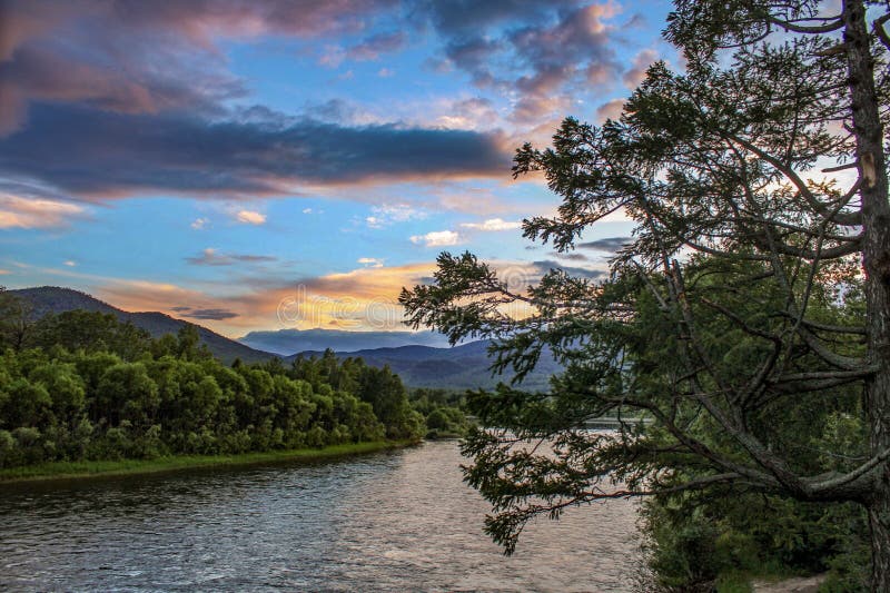 Mountain River and Forest at Sunset Stock Image - Image of landscape ...