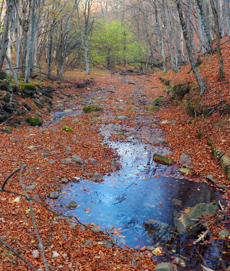 Mountain River in Forest and Mountain Terrain. Crimea the Grand Canyon ...
