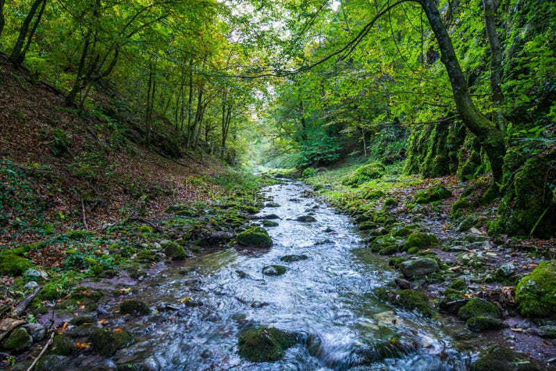Mountain River through Forests Stock Photo - Image of gorge, national ...