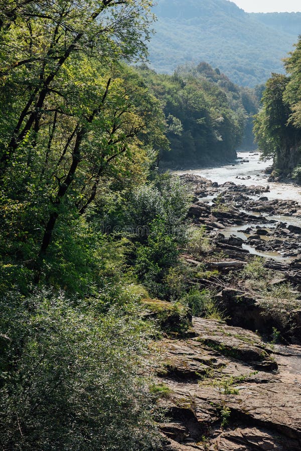 Fast Mountain River in a Green Forest Landscape Stock Image - Image of ...