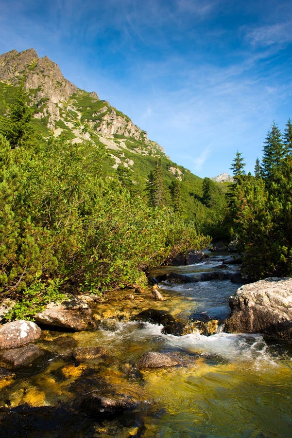 Mountain River in High Tatras in Slovakia Stock Image - Image of pure ...