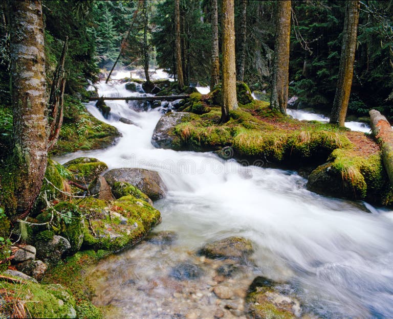 339,903 River Island Stockists Stock Photos - Free & Royalty-Free Stock ...