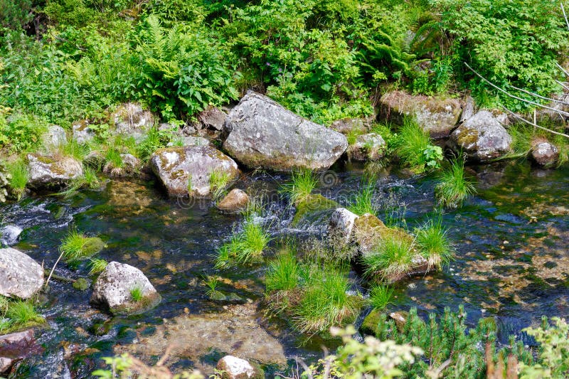 Mountain River Landscape in a Flat Terrain. Stock Photo - Image of calm ...