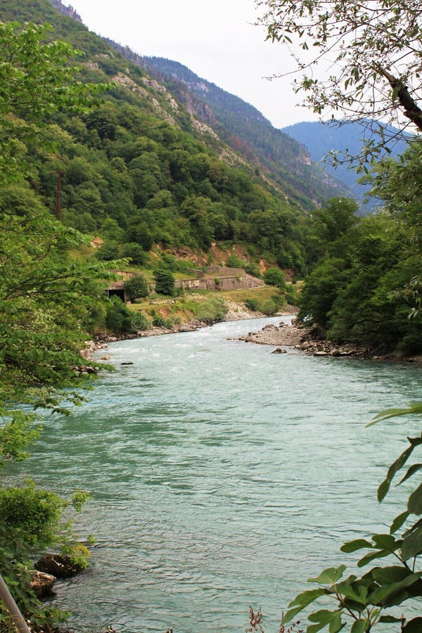 Mountain River and Lots of Greenery Stock Image - Image of fast, river ...