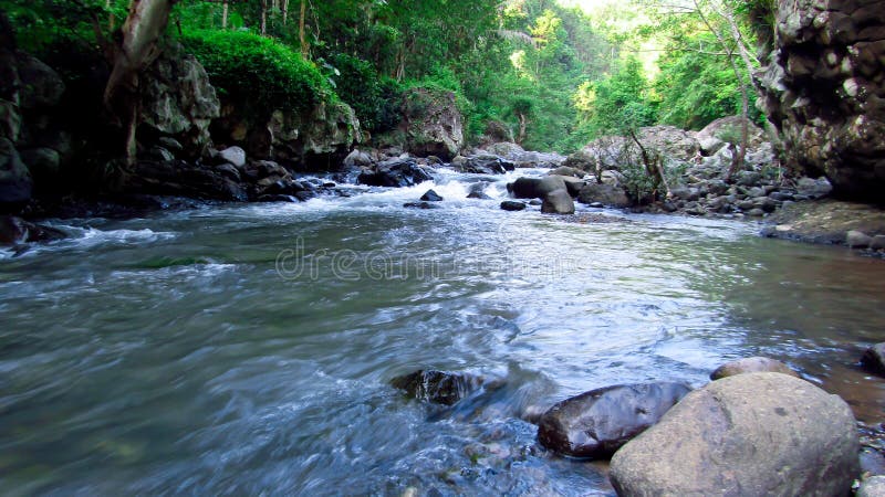 Mountain River in the Middle of Forest, in Tasikmalaya, West Java ...