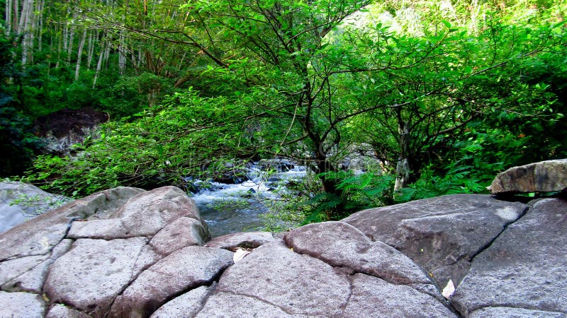 Mountain River in the Middle of Forest, in Tasikmalaya, West Java ...