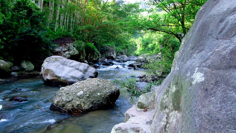 Mountain River in the Middle of Forest, in Tasikmalaya, West Java ...