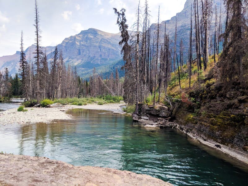 Mountain River with Natural Dam Stock Photo - Image of evergreen, water ...