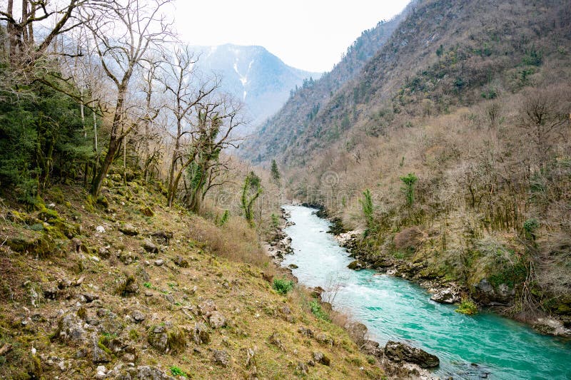 Mountain River Nature Forest Turbulent Current Stock Photo - Image of ...