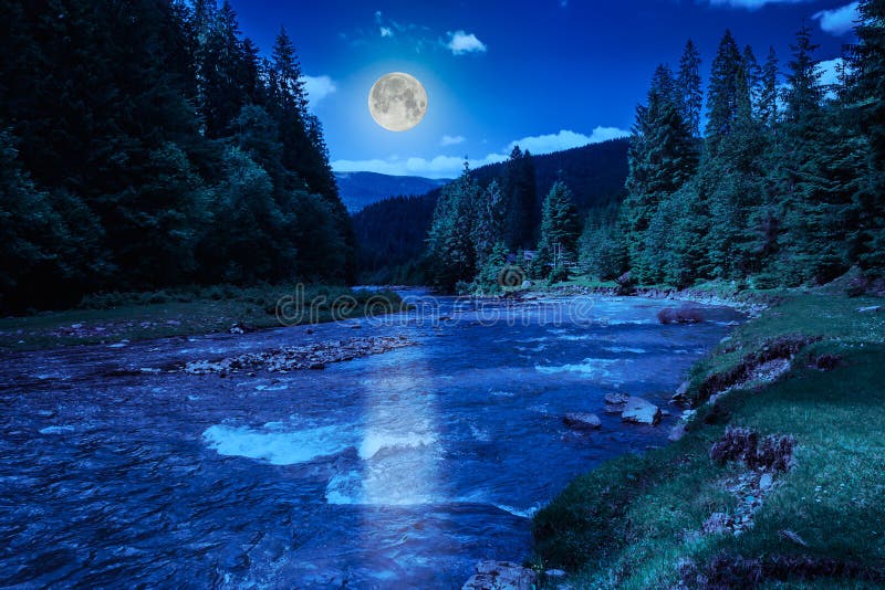 763 Forest River Stones Night Stock Photos - Free & Royalty-Free Stock ...