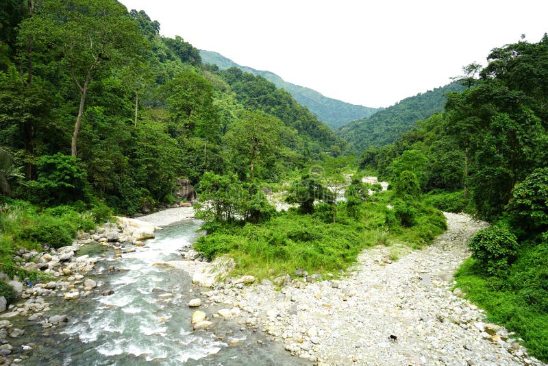 Mountain River of North Bengal with Greenery View Stock Photo - Image ...