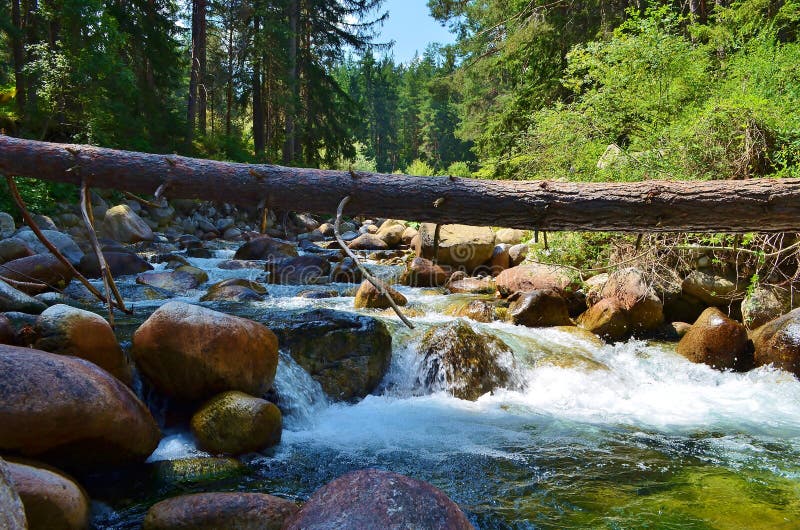 Mountain River in the Pirin National Park in Bulgaria Stock Photo ...