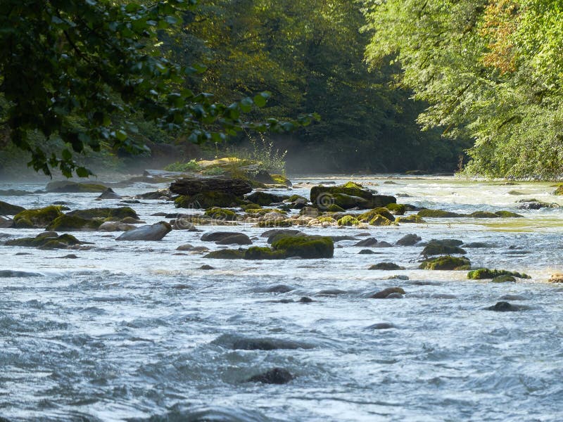 Mountain river. Pure water stock photo. Image of flowing - 227758176