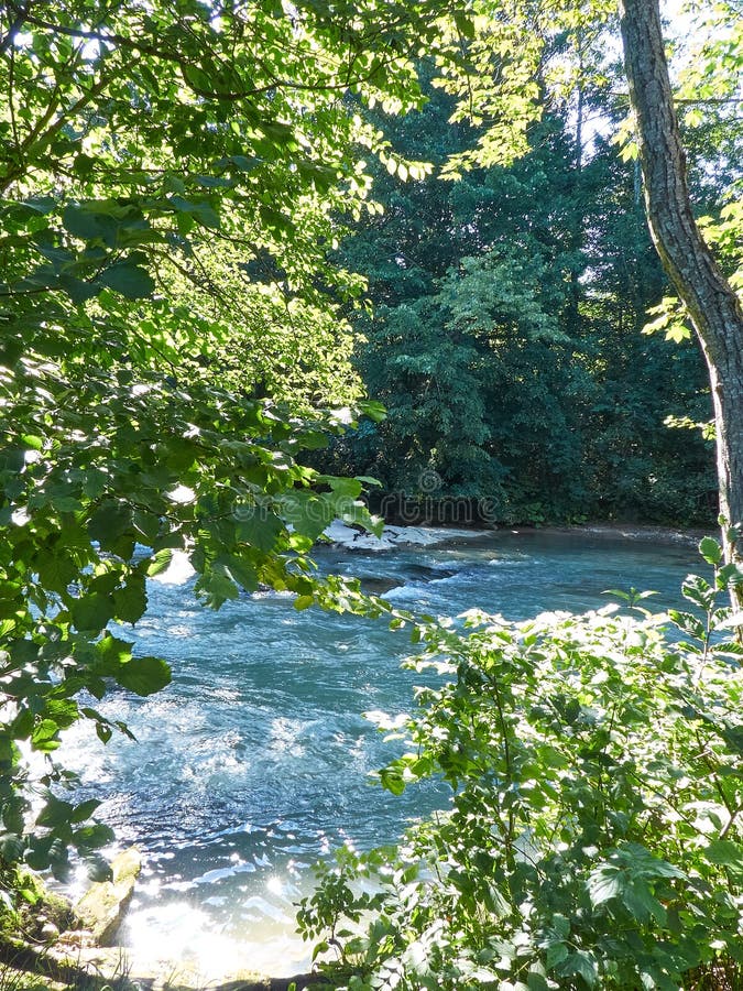 Mountain river. Pure water stock image. Image of flow - 231196441