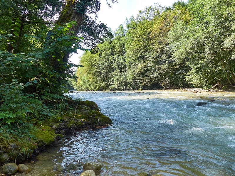 Jug of a Pure River of Water Stock Photo - Image of clean, brook: 245131184