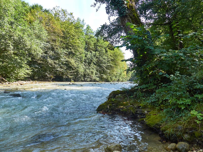 Mountain river. Pure water stock image. Image of rocky - 240538403