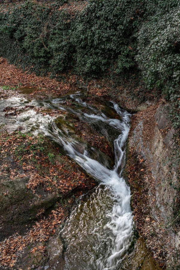 Mountain River after the Rain. Creek in the Forest Stock Image - Image ...