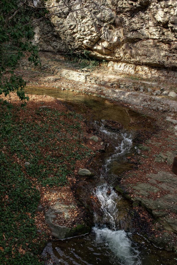 Mountain River after the Rain. Creek in the Forest Stock Photo - Image ...