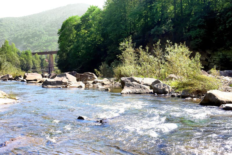 Mountain River with Rocks in Beautiful Forest Stock Image - Image of ...