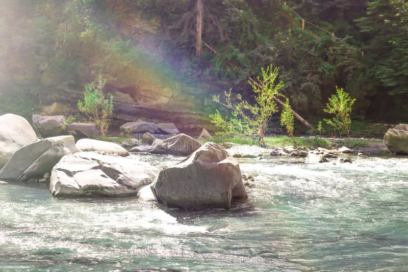 Mountain River with Rocks in Beautiful Forest Stock Photo - Image of ...