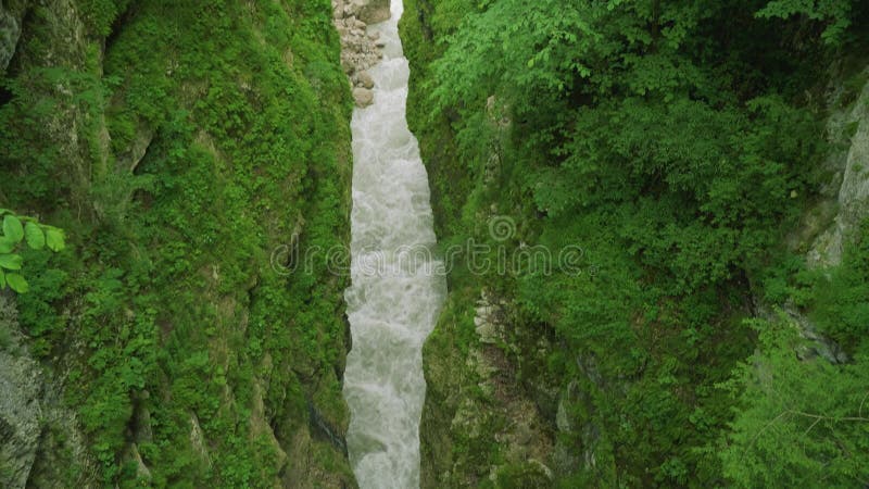 Up View of Mountain River in Narrow Deep Valley between Rocks Covered ...