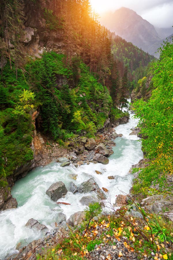 River in beautiful forest stock photo. Image of shine - 14534364