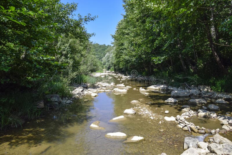 The Mountain River. Shallow Mountain River, Water Flows through the ...