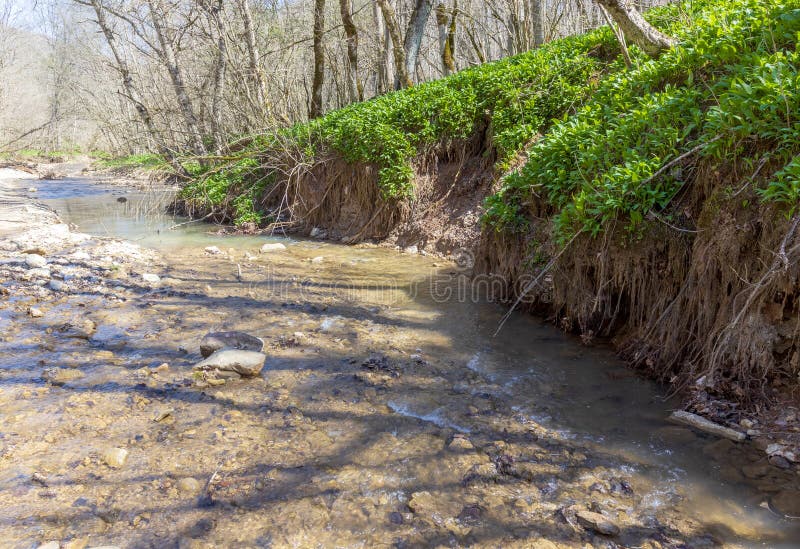 Mountain River, Spring Day Walks Along the Riverbed of a Water Barrier ...