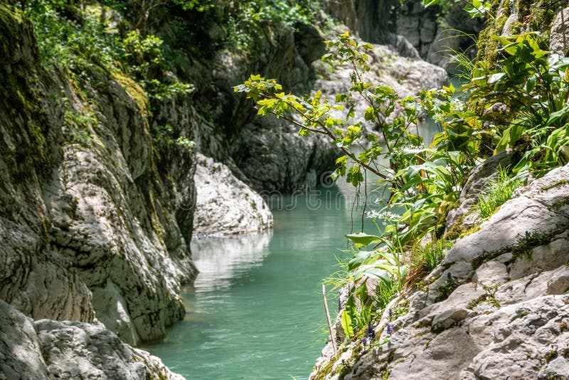Mountain River in the Stone Gorge Stock Photo - Image of river ...