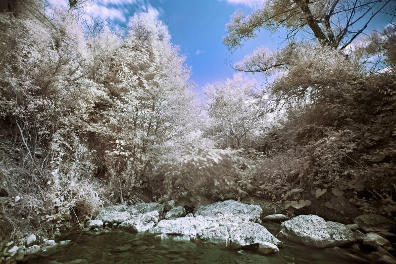 Mountain River with Stones Infrared Photo Stock Photo - Image of plant ...