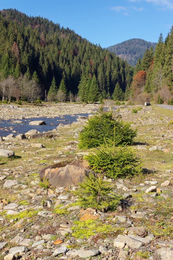 Mountain River with Stones on the Shore Stock Photo - Image of scenic ...