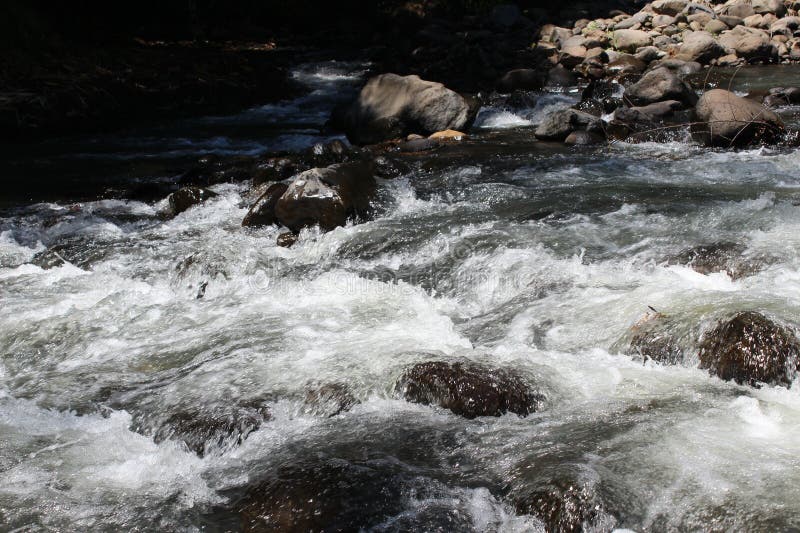 Fast Flowing River in Winter. Snow-covered Trees on the Shore Stock ...