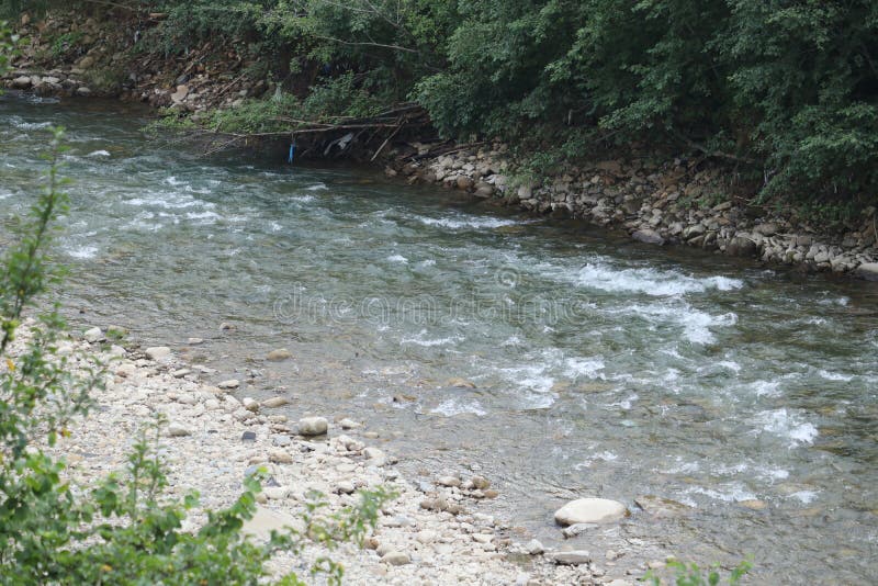 Mountain River Stream Landscape. River in the Mountain Forest. Stream ...