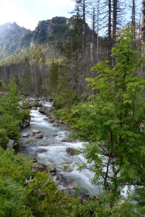Mountain River Stream in Vysoke Tatry, Slovakia Stock Photo - Image of ...