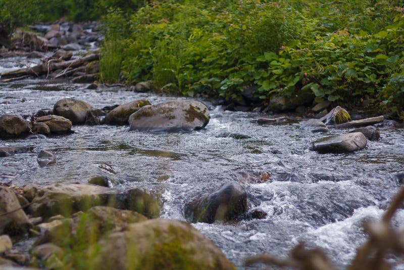 Mountain River or Streamlet among Stones and Fresh Greenery in Summer ...