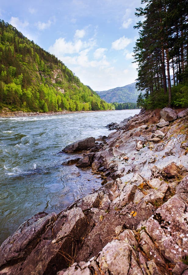 The mountain river stock photo. Image of siberia, grass - 32501252