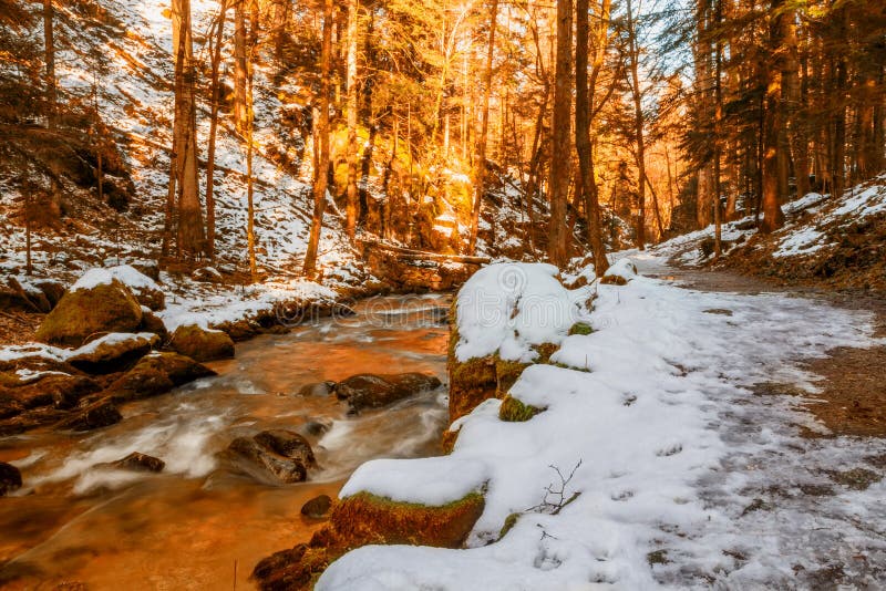 The Mountain River at Sunset in Canyon Stock Photo - Image of mountains ...