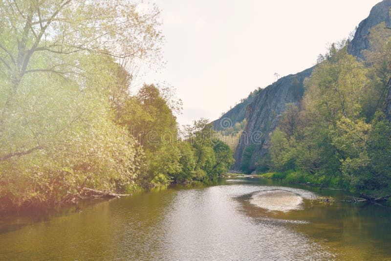 Mountain River Surrounded by Trees and Cliffs in Canyon Stock Photo ...